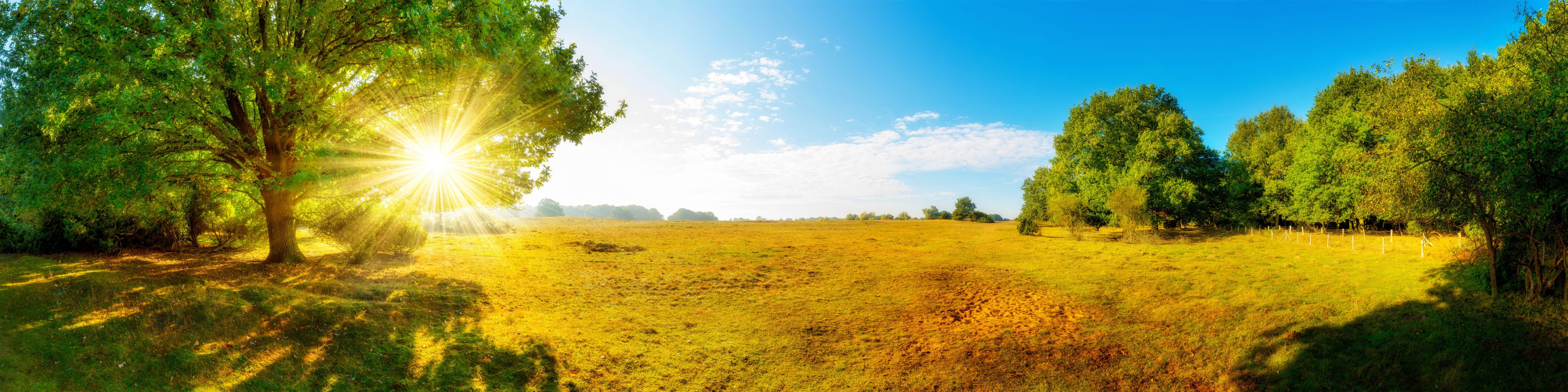 Microsoft [Office] 365 - ATEGRA Software Engineering